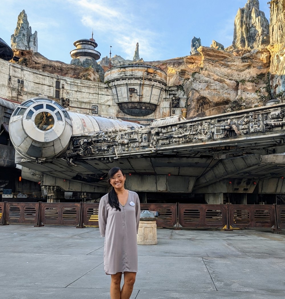 Blending the magic of engineering at the happiest place on earth - Faculty of Engineering ...